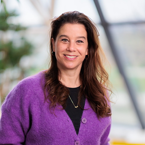 Over ons | Fello website